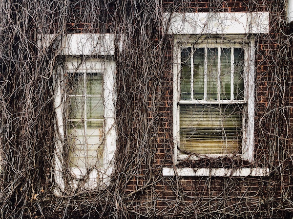 Interview: Poet and Photographer, Justin Hamm - Cultural Daily