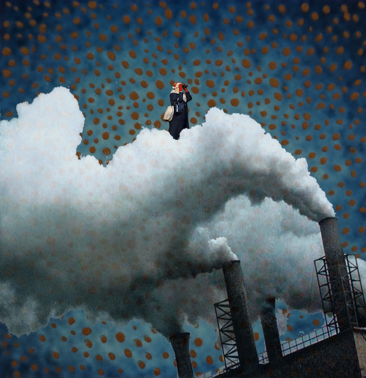 "Polluted," from Climate Change, the first of four series of digital ...