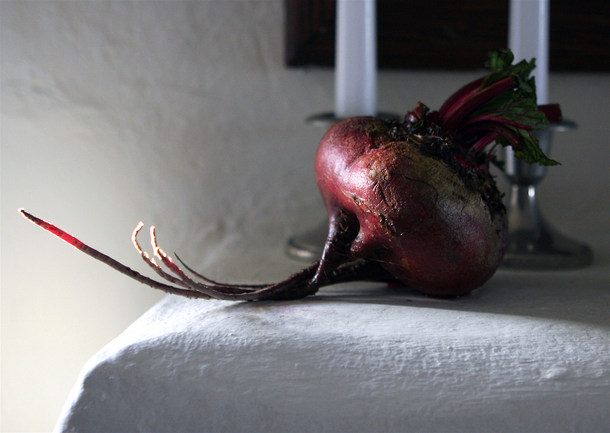 eating the gods - Cultural Daily