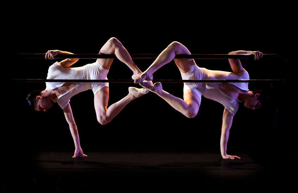 Mimetic Evolution - Cultural Daily